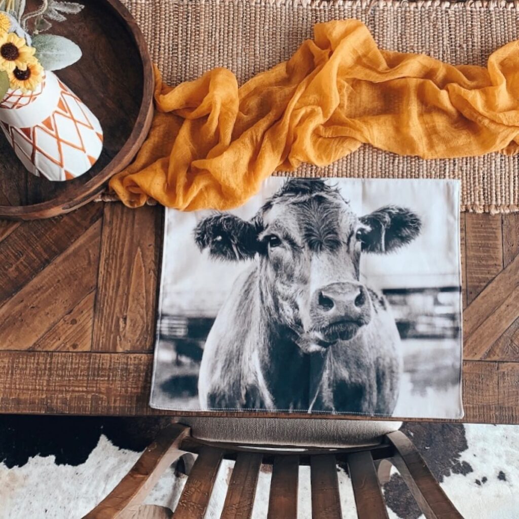 35 Ranch House Decor Ideas for Rustic, Modern Comfort - Decor Rio