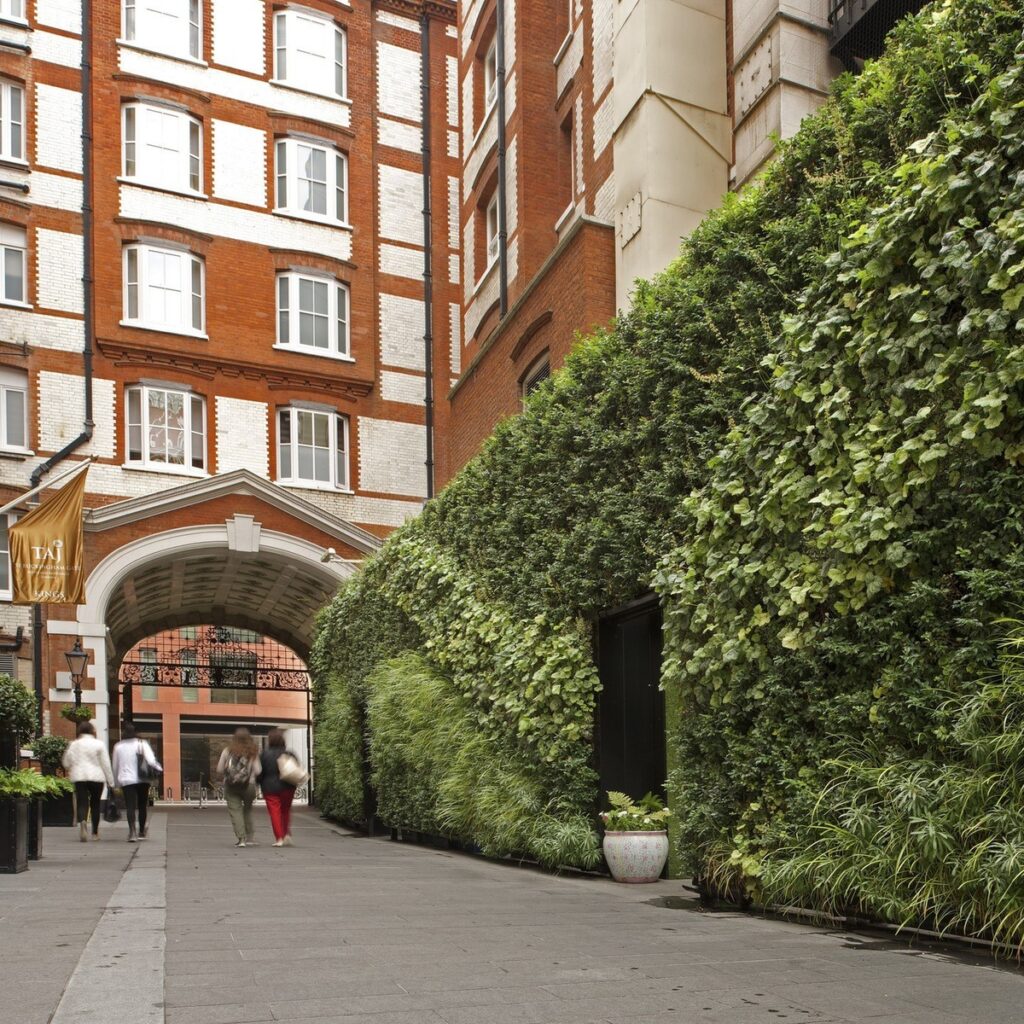30 Green Living Walls to Enhance Your Space with Nature-Inspired Design ...